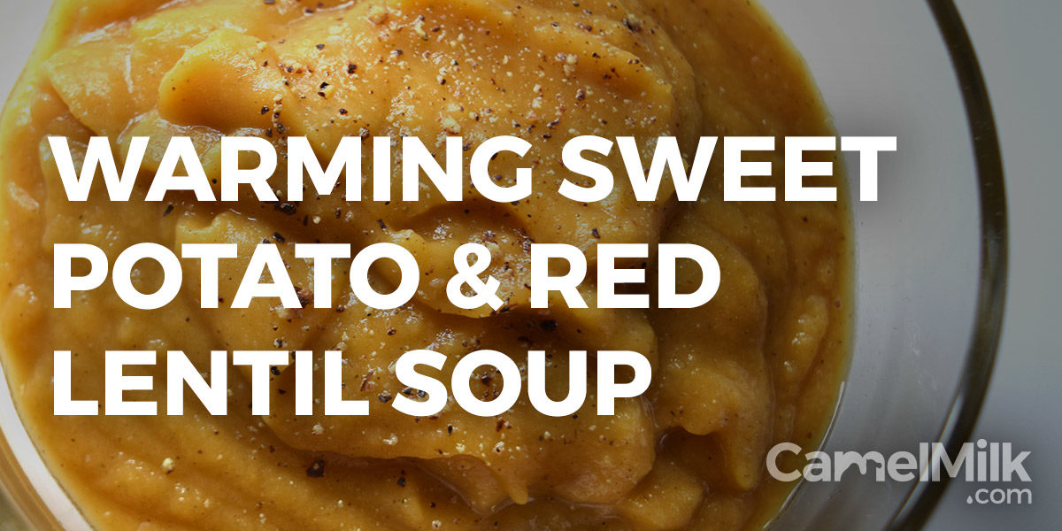 Camel Milk Recipes: Make with Sweet Potato & Red Lentil Soup